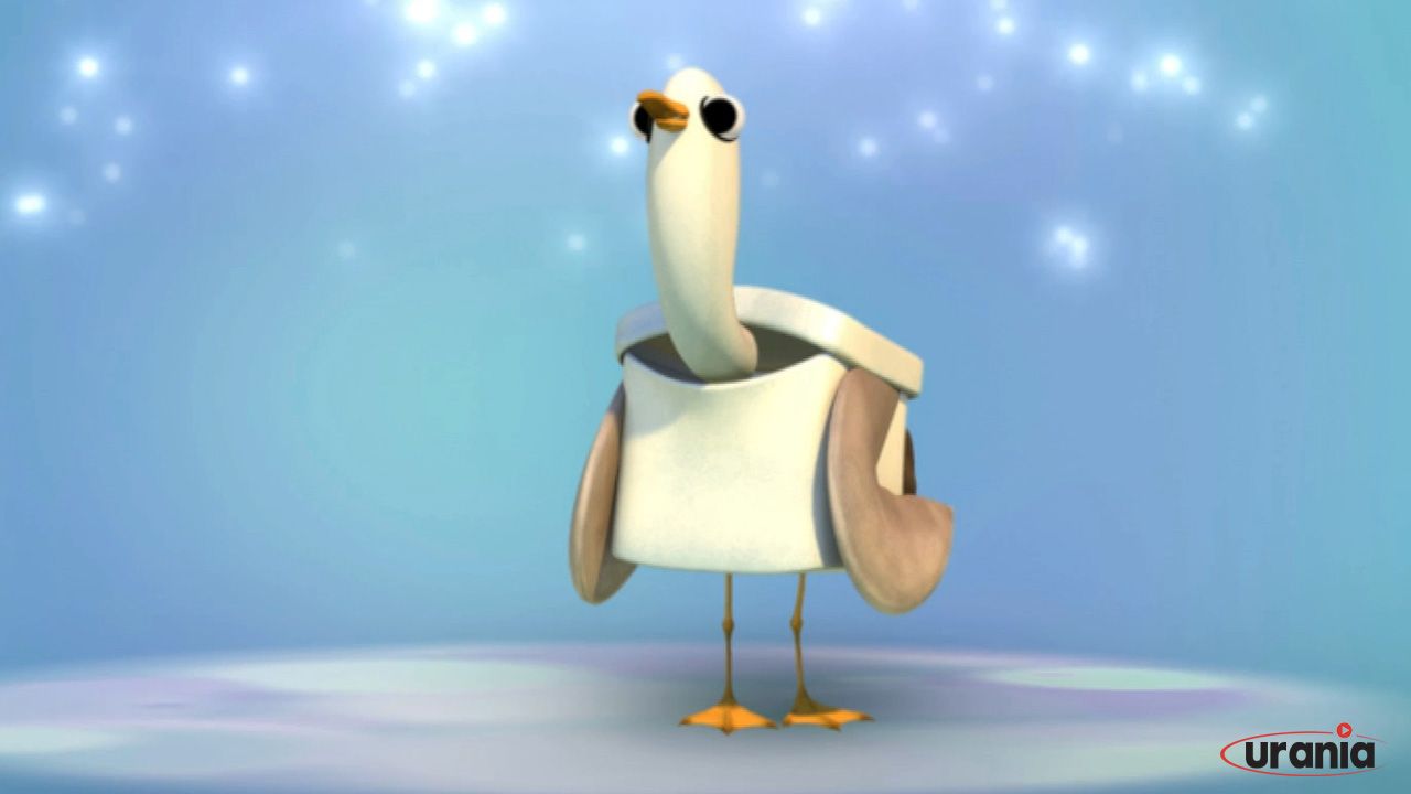 Pohádka anglicky zdarma online - ZooBabu: Racek | Stream