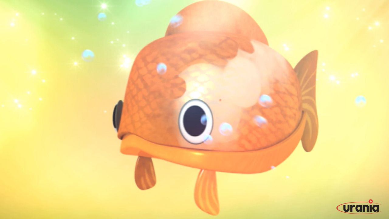 Pohádka anglicky zdarma online - ZooBabu: Zlatá rybka | Stream