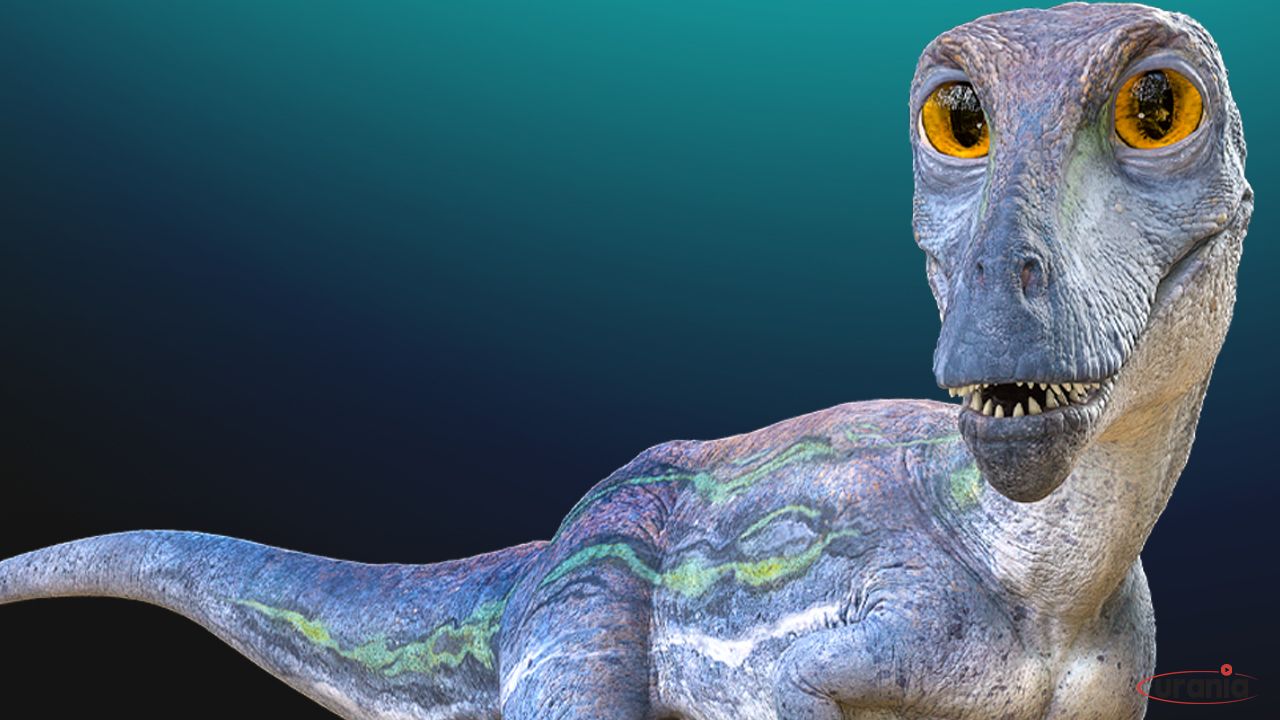 ᐅ Pohádka Můj kamarád dinosaurus - Ztracené tajemství online | Stream