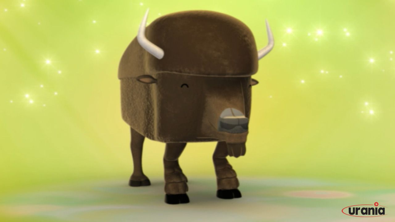 Pohádka anglicky zdarma online - ZooBabu: Bizon | Stream